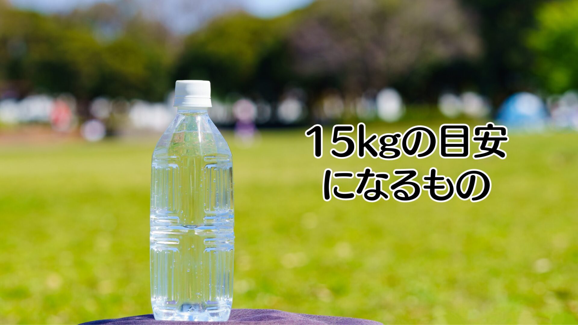 15キロの手荷物ってどのくらい？旅行の準備として知っておくべきこと - 在宅ワークのモノ・コト